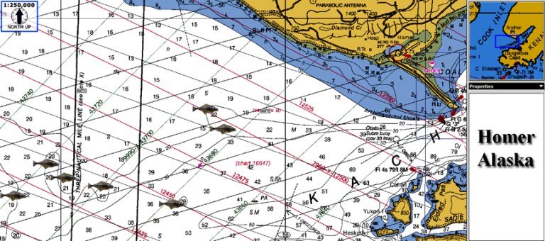 Homer Alaska Halibut Fishing Map | SquidPro Tackle's Halibut Fishing ...