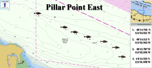 Pillar Point Halibut Fishing Map | SquidPro Tackle's Halibut Fishing ...
