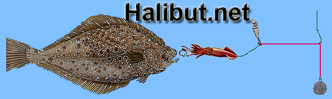 SquidPro Tackle's Halibut Fishing Chronicles | Sport Halibut Fishing ...