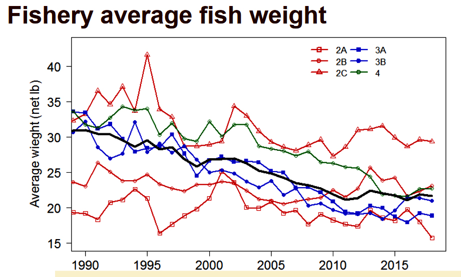 IPHC Setline Survey Data 2018 Shows Stock Assessment of Pacific Halibut ...