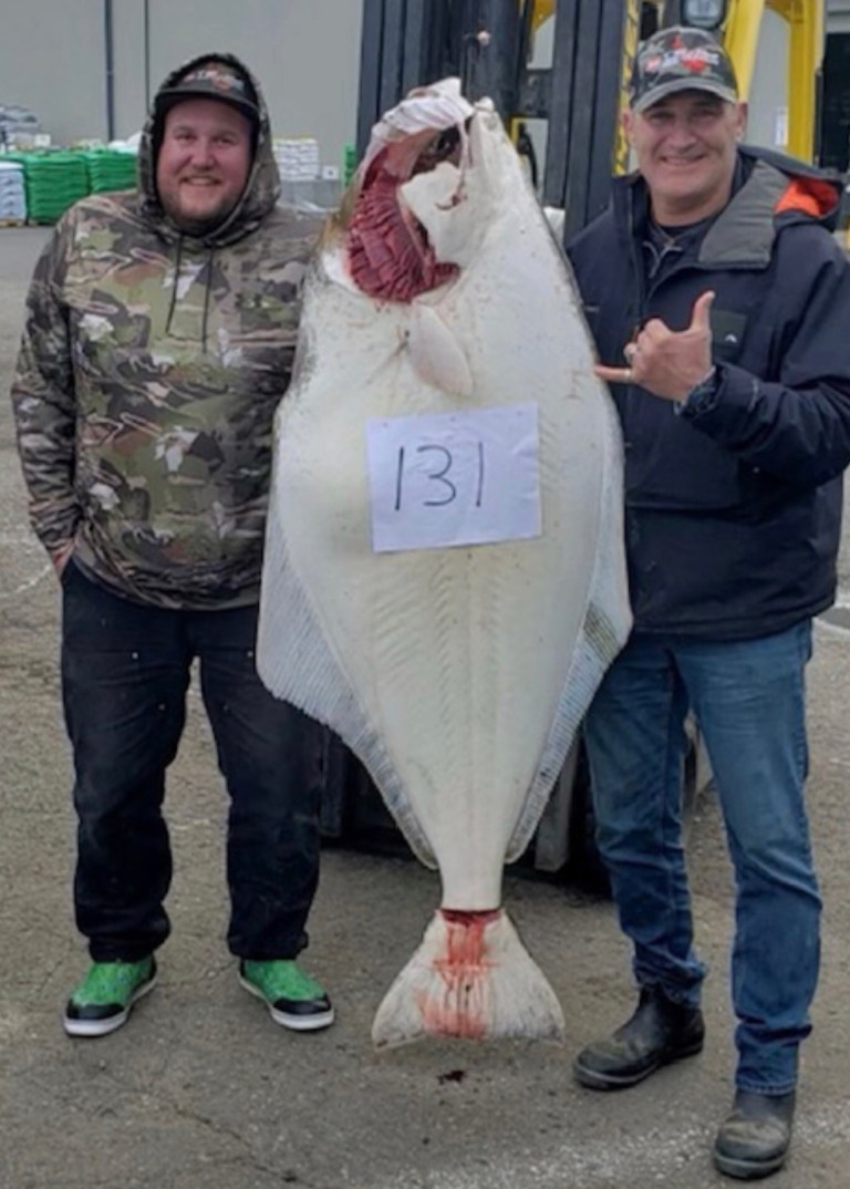 SquidPro Tackle's Halibut Fishing Chronicles | Sport Halibut Fishing ...